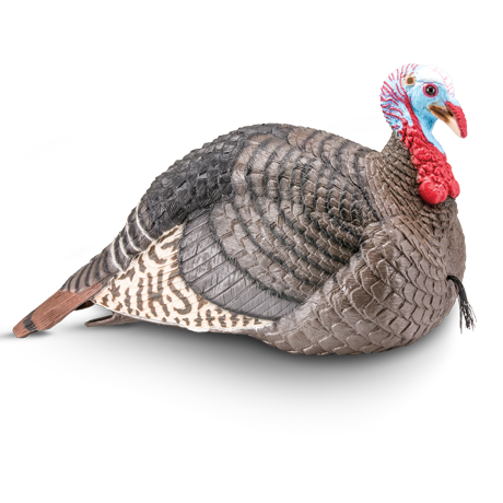 Strut-Lite Jake Decoy - H.S. Strut