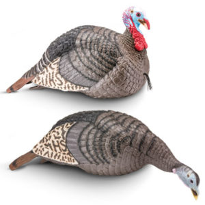 Strut-Lite Jake & Feeding Hen Combo Decoys - H.S. Strut