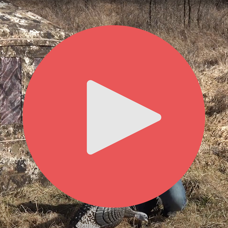 Strut-Lite Feeding Hen Decoy - H.S. Strut