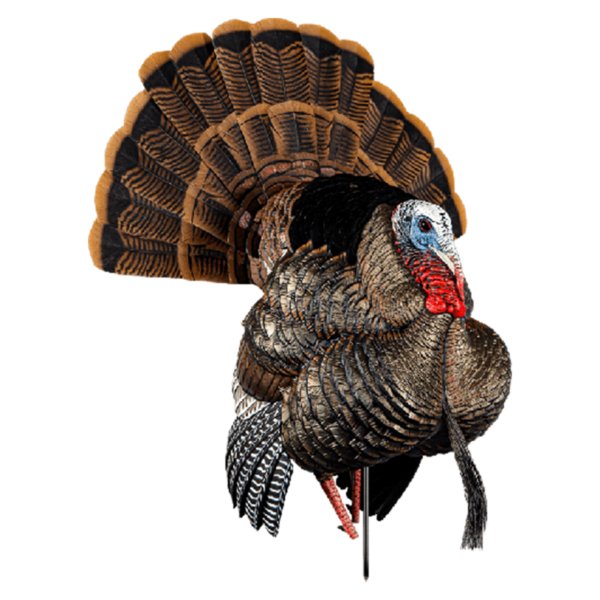 HS Strut Turkey Decoys | Lifelike Realism at an Affordable Price