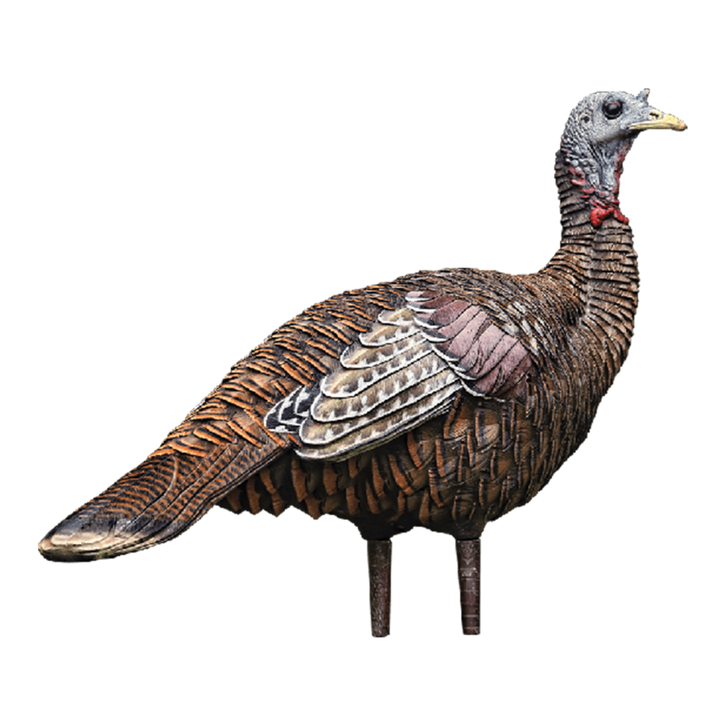 HS Strut Turkey Decoys | Lifelike Realism at an Affordable Price